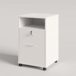 Tribesigns File Cabinet, 2-Drawer Mobile Printer Stand with Lock