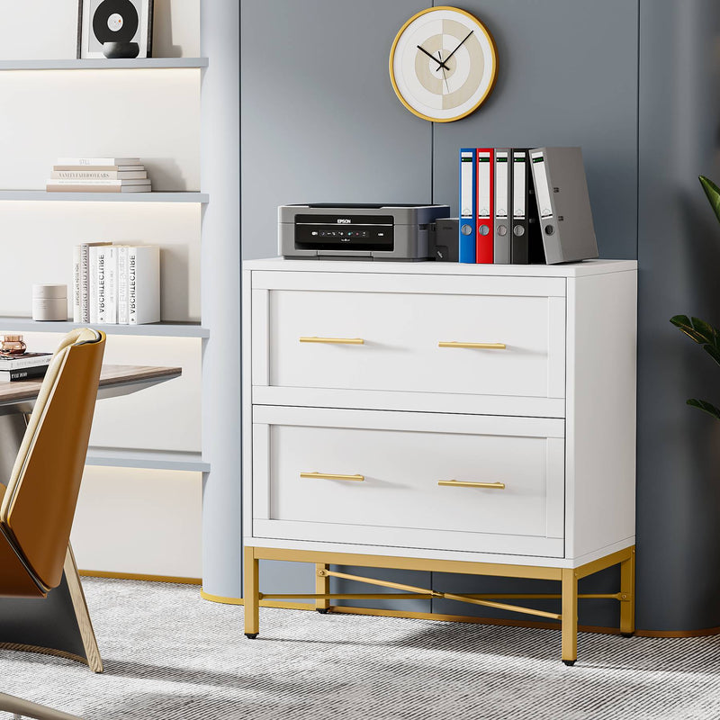 Tribesigns File Cabinet, 2 Drawers Storage Cabinet Printer Stand-Tribesigns